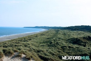 Places to visit in Wexford, Ireland