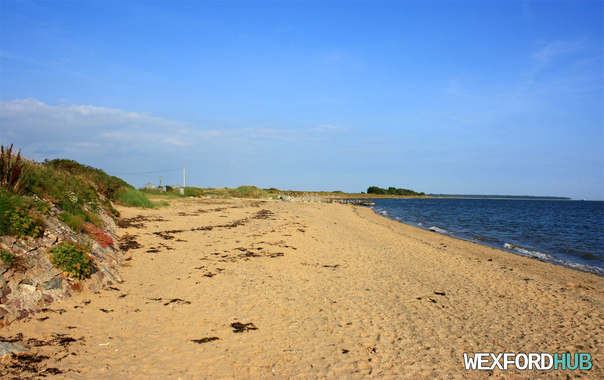 Ardcavan Beach, Wexford