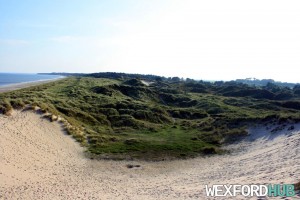 Curracloe Beach, Wexford