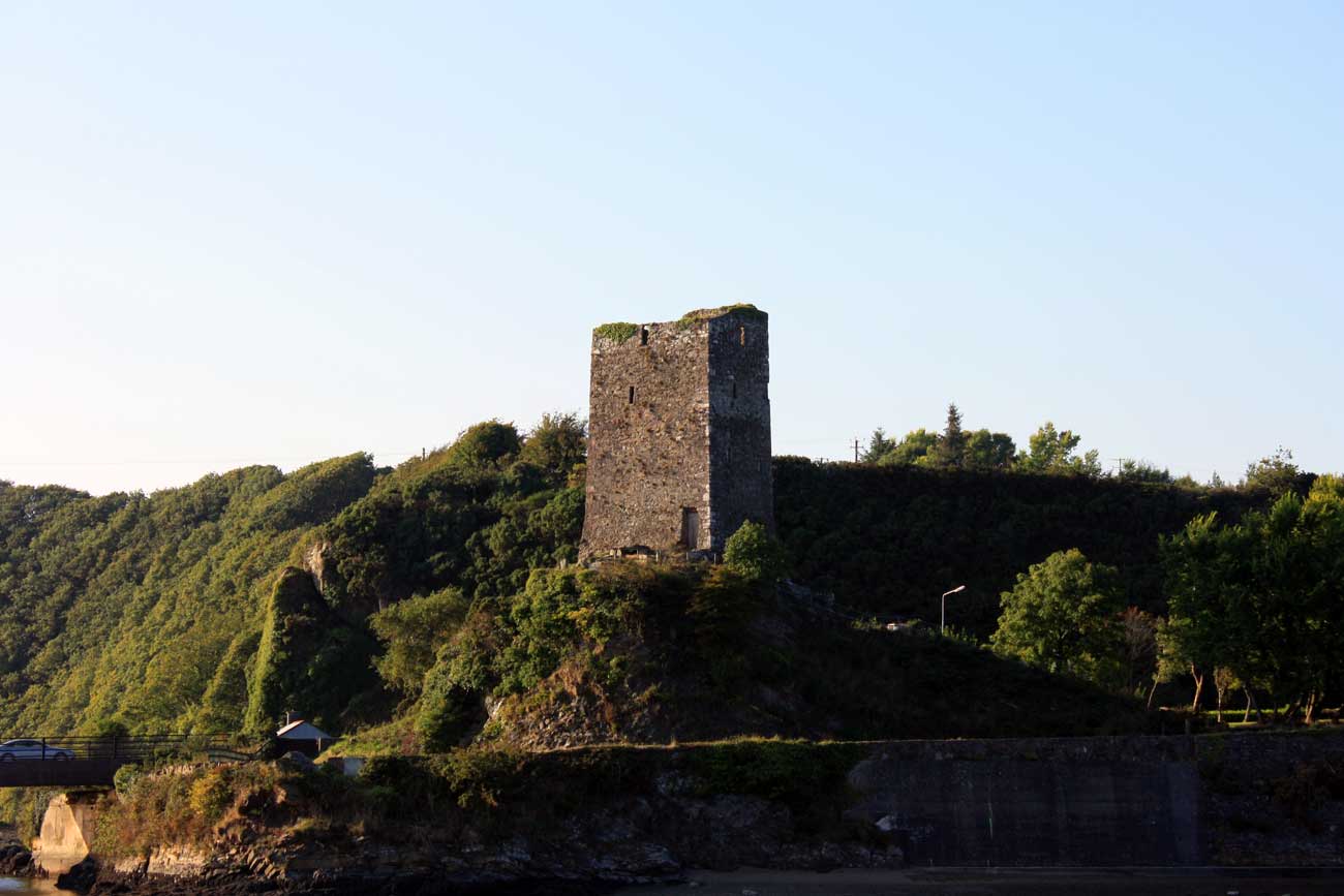 Ferrycarrig Castle