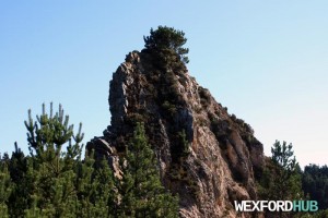 Barntown Quarry, Wexford